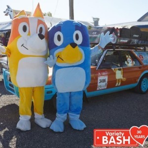 Variety - Andrew Kay